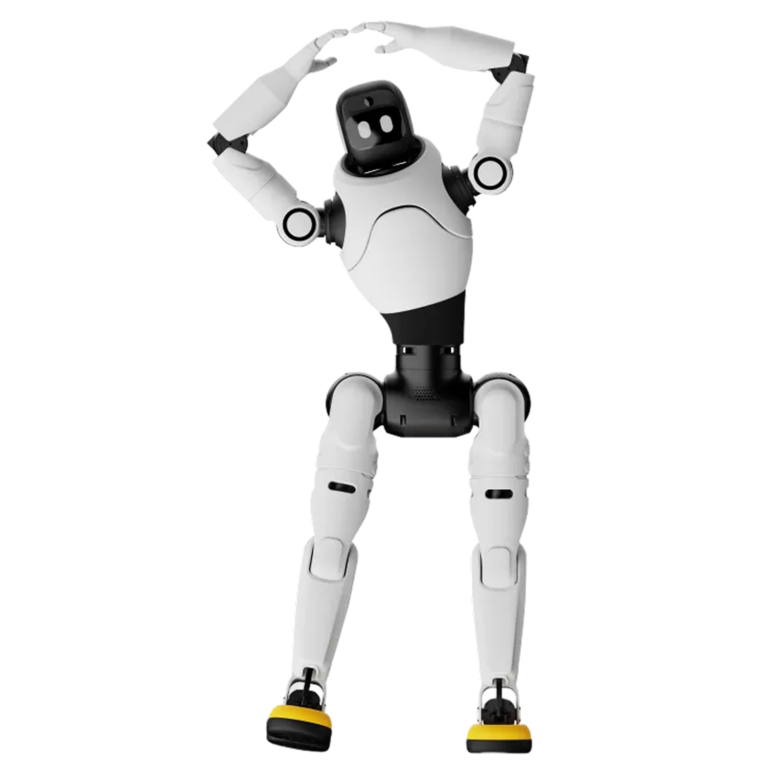 AGIBOT X2